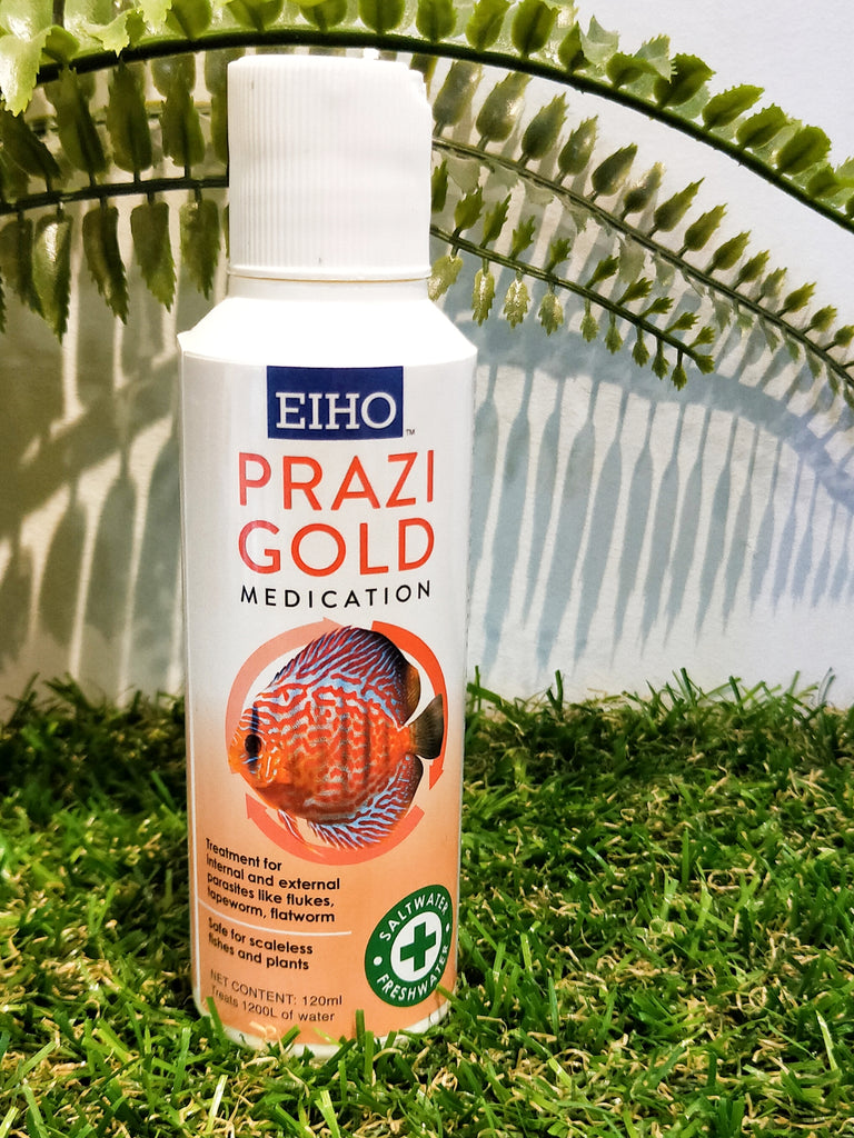 EIHO Prazi Gold – ivenbetta